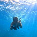 Deluxe Turtle Snorkeling Escapade at Waikiki - The Itinerary and What to Expect