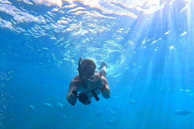 Deluxe Turtle Snorkeling Escapade at Waikiki - The Itinerary and What to Expect