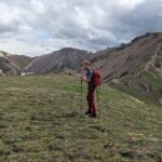 Denali: 5 Hour Guided Into The Mountains Hiking Tour - Evaluating the Value: Is It Worth the Cost?