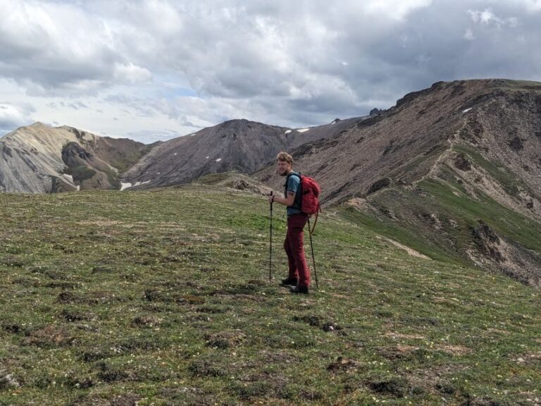 Denali: 5 Hour Guided Into The Mountains Hiking Tour - Evaluating the Value: Is It Worth the Cost?