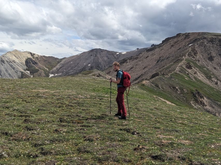 Denali: 5 Hour Guided Into The Mountains Hiking Tour - Evaluating the Value: Is It Worth the Cost?