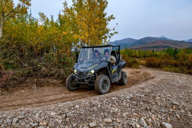 Denali National Park: Wilderness ATV Adventure - What to Expect on Your Adventure