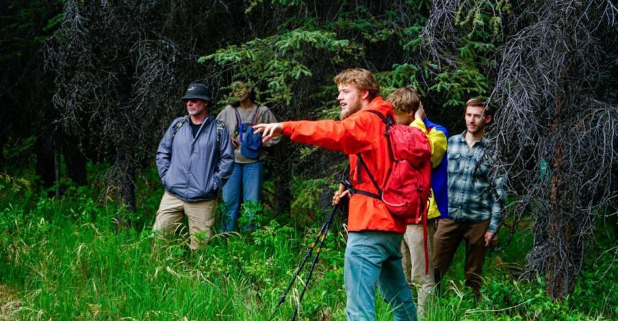 Denali: Naturalist Walking Tour in Denali National Park - What to Expect During the Walk
