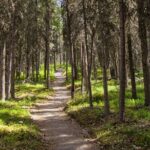Denali Nature Hike - The Sum Up: Who Should Consider the Denali Nature Hike?