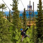 Denali Park Zipline Adventure - A Deep Dive into the Denali Zipline Experience