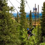 Denali Park Zipline Adventure - Top Highlights of Denali Park Zipline Adventure