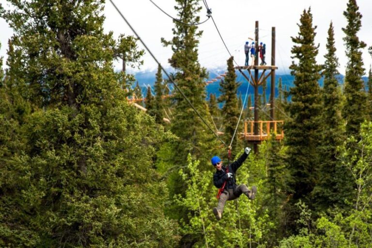 Denali Park Zipline Adventure - Top Highlights of Denali Park Zipline Adventure