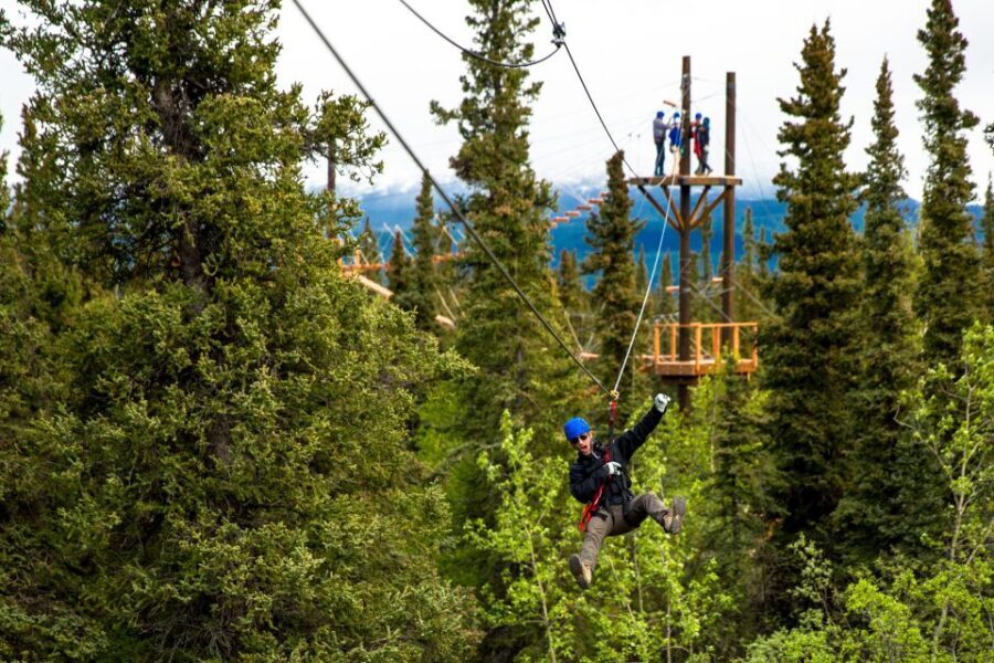 Denali Park Zipline Adventure - Top Highlights of Denali Park Zipline Adventure