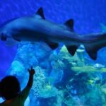 Denver: Downtown Aquarium All-Day Pass - Price and Value Analysis