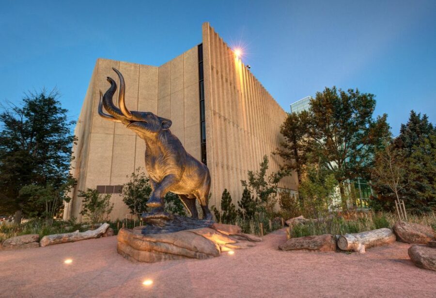 Denver: Museum of Nature and Science Entry Ticket - What Makes This Museum Special?