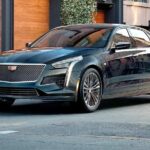 Departure Private Transfer: Hollywood Beach to Airport FLL in Business Car - Why This Transfer Might Be a Smart Choice