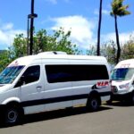 Departure Shuttle: Hotels&Private Residences to Kahului Airport(OGG)-Maui Island - Key Points