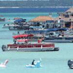 Destin: Crab Island Catamaran Tour with Dolphin Watching - Who Should Consider This Tour?