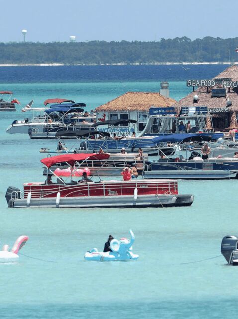 Destin: Crab Island Catamaran Tour with Dolphin Watching - Who Should Consider This Tour?