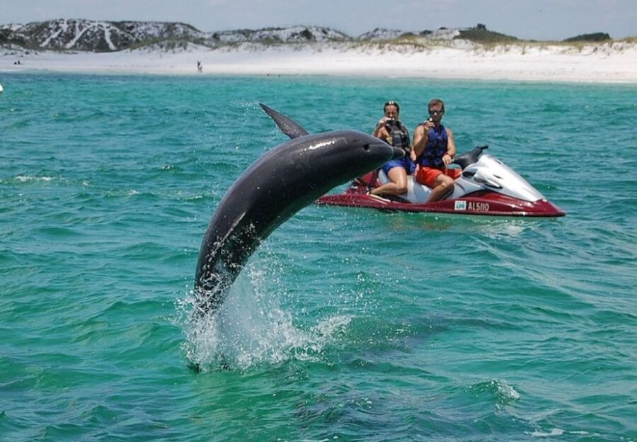 Destin: Crab Island Dolphin Watching Jet Ski Tour - An In-Depth Look at the Tour Experience