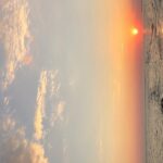 Destin Dolphin Cruise - The Cost and Value