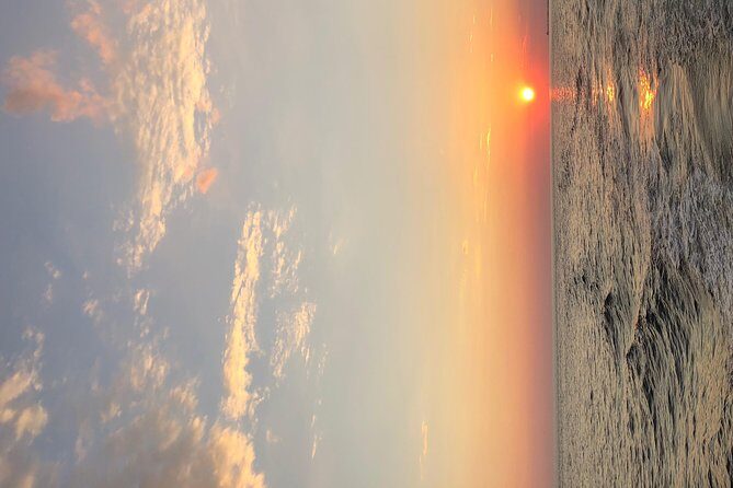 Destin Dolphin Cruise - The Cost and Value