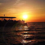 Destin: Dolphin Watching Cruise - The Itinerary in Detail: What Makes This Tour Special