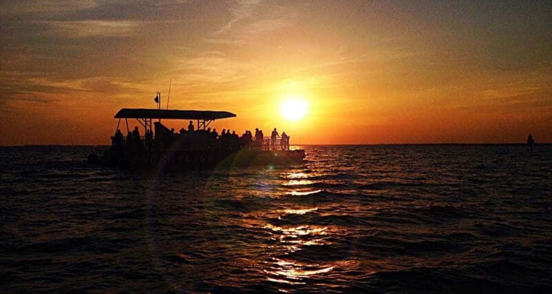 Destin: Dolphin Watching Cruise - The Itinerary in Detail: What Makes This Tour Special