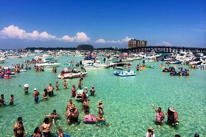 Destin: Private Snorkel/Shelling/Eco Excursion for Up to 28 - A Closer Look at the Experience