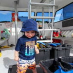 Destin: Snorkeling Cruise with 2 Stops and Dolphin Watching - Key Points