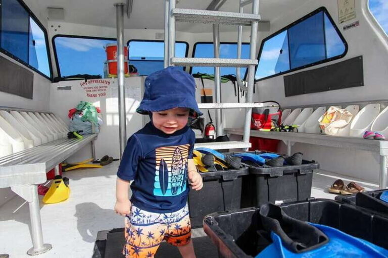 Destin: Snorkeling Cruise with 2 Stops and Dolphin Watching - Key Points