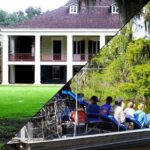Destrehan Plantation and Large Airboat Tour from New Orleans - Transportation and Logistics