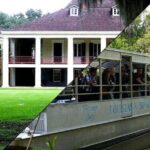 Destrehan Plantation and Swamp Tour from New Orleans - Practical Details and Tips