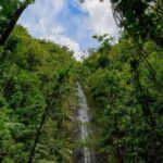 Diamond Head Manoa Falls - Midday: Lunch & Optional Relaxation