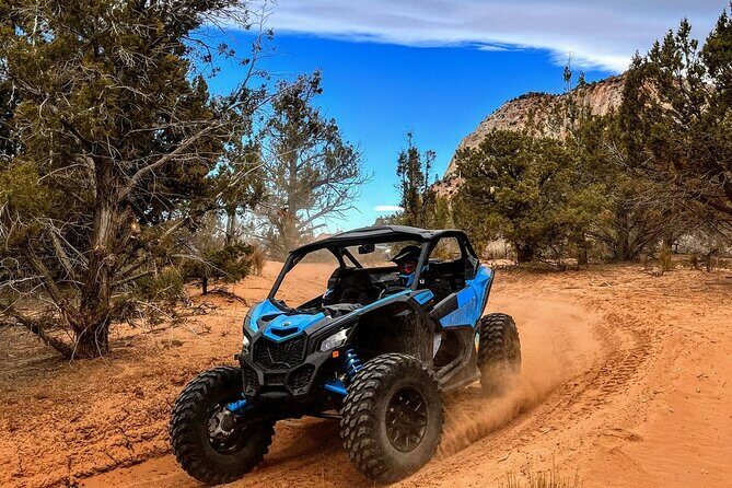 Diana's Throne UTV Adventure Near Zion National Park - Why This Tour Works for Travelers