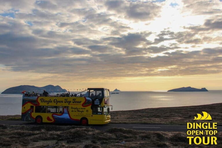 Dingle: 3 Hour Open-Top Bus Tour with Multiple Stops - What You Get for the Price