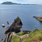 Dingle: Hour Slea Head Drive Tour 4hr - Personal Chauffeur Guide - Who Should Consider This Tour?