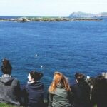 Dingle to Blasket Island Ferry - Who Should Consider This Tour?