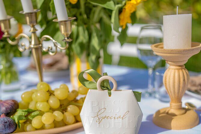 Dinner in the Vineyard French Riviera - Who Should Consider This Tour?