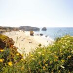 Discover Albufeira in a Tuk Tuk - The Itinerary in Detail