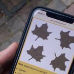 Discover Alkmaar with a self-guided Outside Escape city game tour - What to Expect During Your Walk
