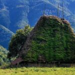 Discover Apuseni Mountains - Scarita Summit,Sipote Waterfall and Dumesti Village - An In-Depth Look at the Apuseni Mountains Tour