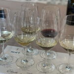 Discover Arrábida: Wine and Scenic Wonders - Key Points