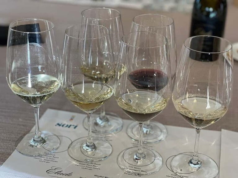 Discover Arrábida: Wine and Scenic Wonders - Key Points