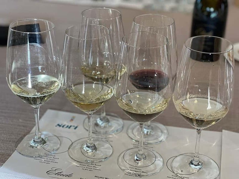 Discover Arrábida: Wine and Scenic Wonders - Key Points