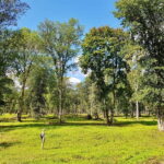 Discover Best of Sigulda and Gauja National Park In One Day - Exploring Sigulda and Krimulda