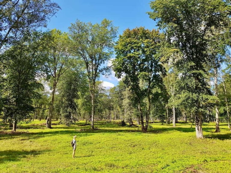 Discover Best of Sigulda and Gauja National Park In One Day - Exploring Sigulda and Krimulda