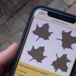 Discover Breda with a self-guided Outside Escape city game tour! - Practicalities and Value