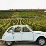 Discover Burgundy - Final Thoughts