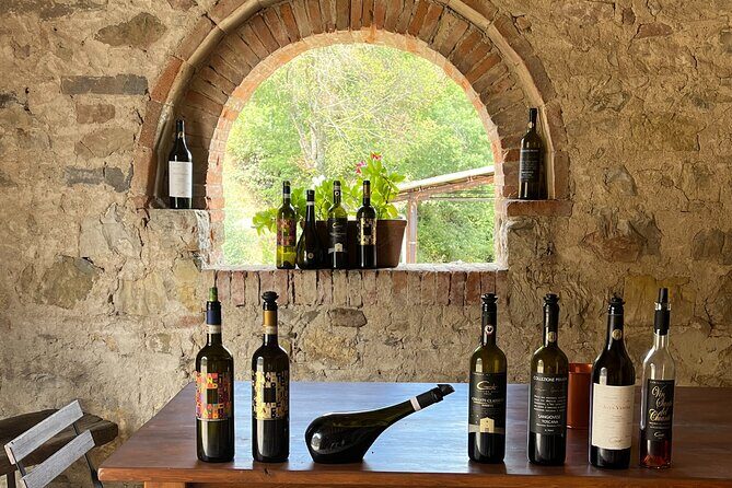 Discover Chianti Classico Wines DiWine Experience - Authenticity and Personal Touch