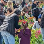 Discover Manhattan's Hidden Gems - The Highlights of This Tour