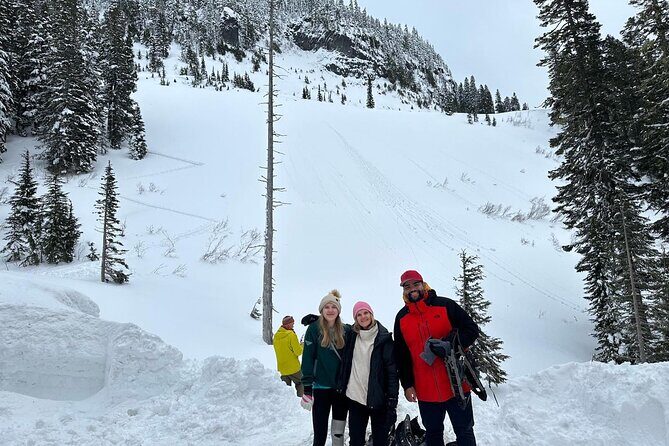 Discover Mt. Rainier  Private Full-Day Tour - FAQ