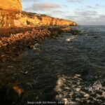 Discover San Diego's Beaches: Private Driving Tour - An In-Depth Look at the Experience