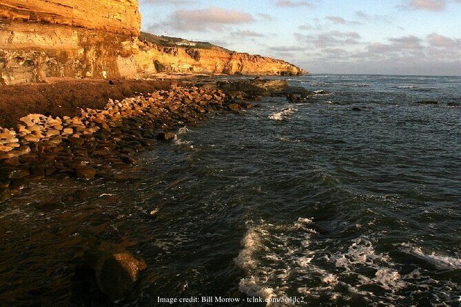 Discover San Diego's Beaches: Private Driving Tour - An In-Depth Look at the Experience