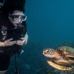 Discover Scuba Diving Class from Lahaina - Introduction: The Allure of Maui’s Underwater World
